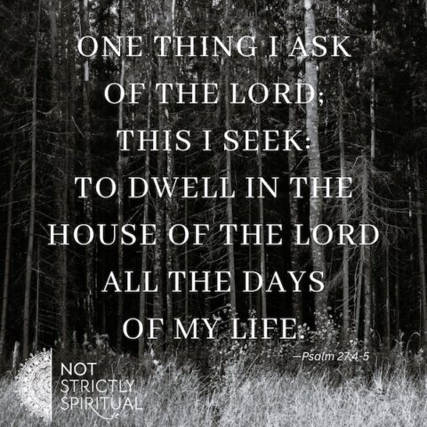 Dwelling in the 'House of the Lord' – NSS